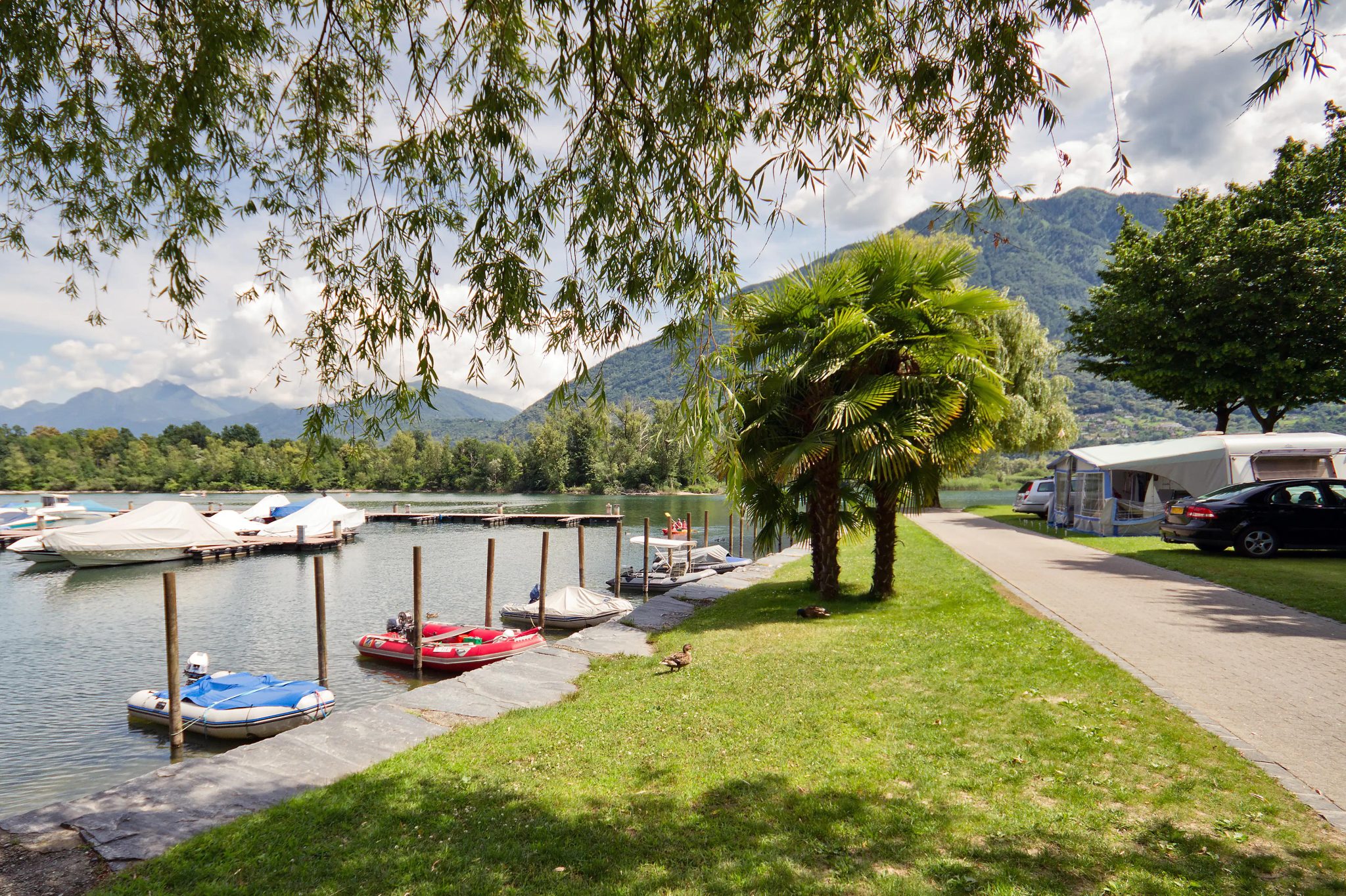 Camping Tenero - das sind die 6 besten Campingplätze – MyCamper